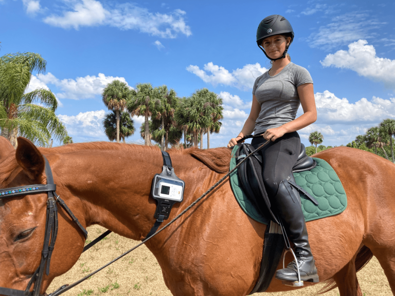 Vibe For Pets | Resona Health - Resonance Frequency Therapy